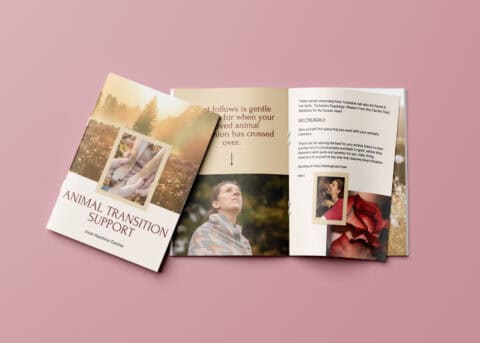 Animal Transition Support - Kachina Canine